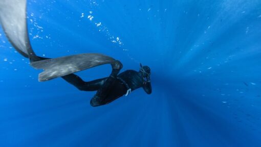 Hướng Dẫn Chọn Fins Phù Hợp Cho Snorkeling, Freediving và Scuba Diving ...